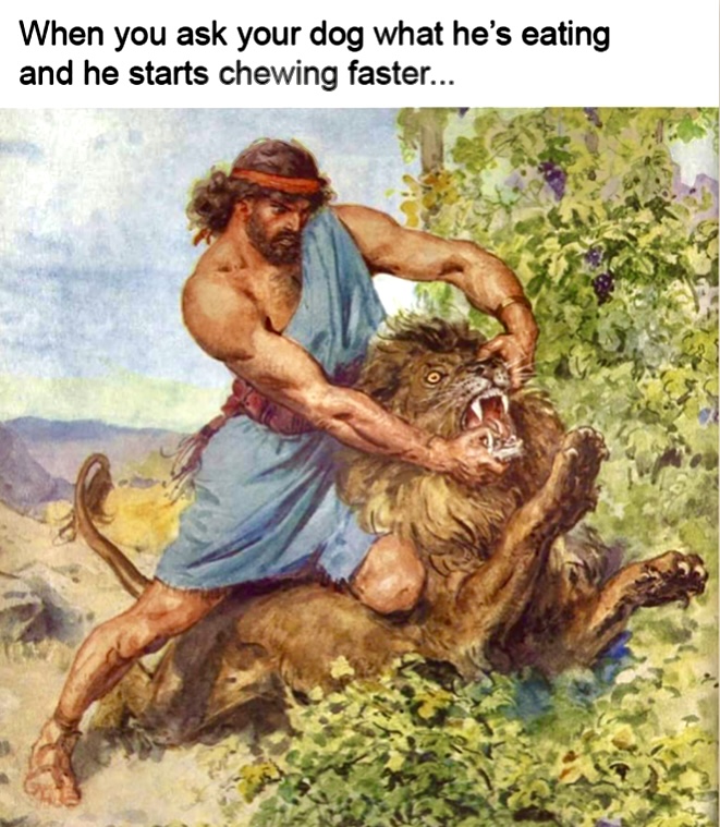 Was Samson a Good Judge? – spoiledmilks