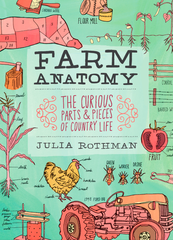 Book Review: Farm Anatomy (Julia Rothman) – spoiledmilks
