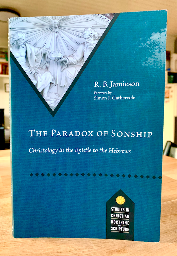 Book Review: The Paradox of Sonship (R. B. Jamieson) – spoiledmilks