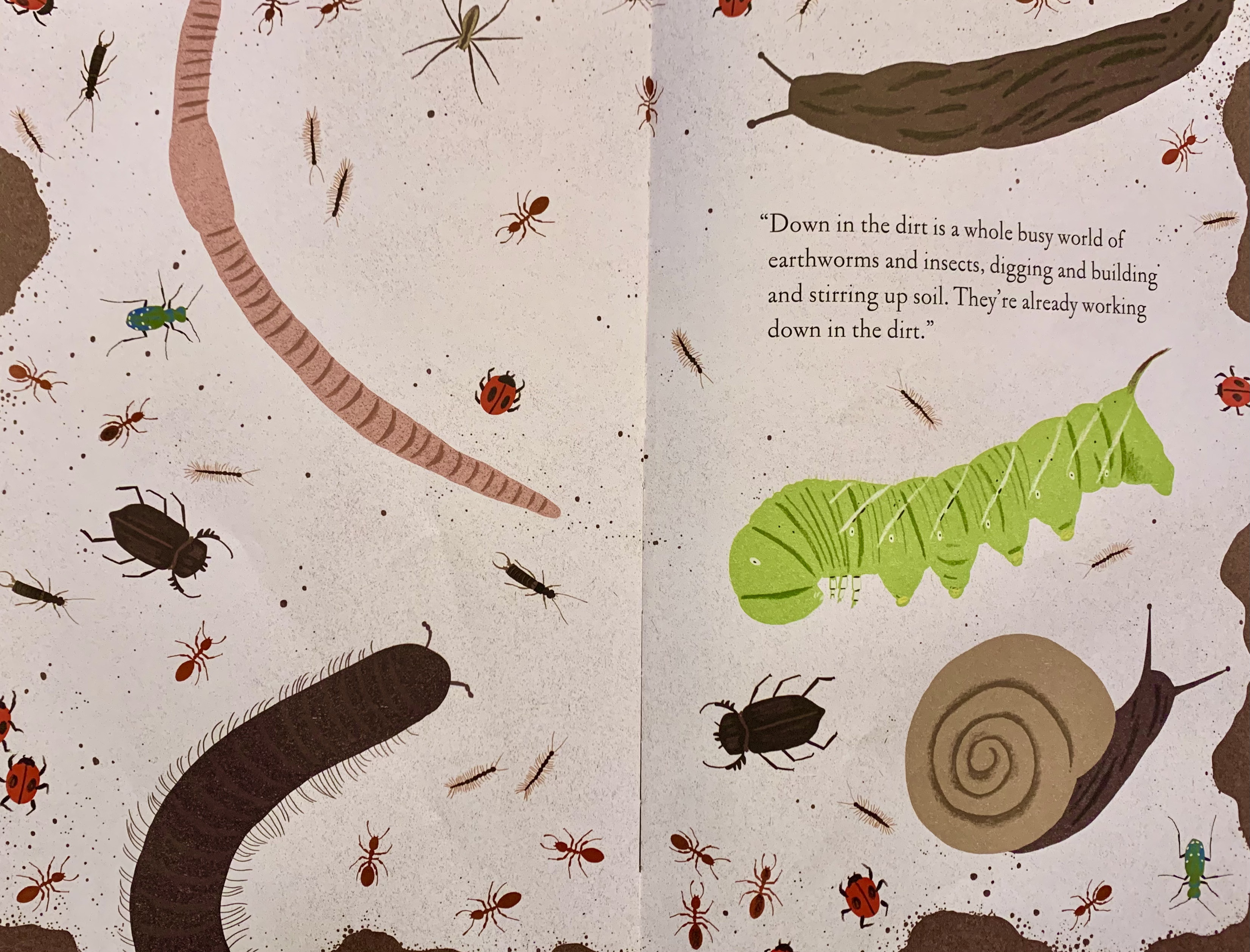 Book Review: Up in the Garden and Down in the Dirt (Messner/Neal ...