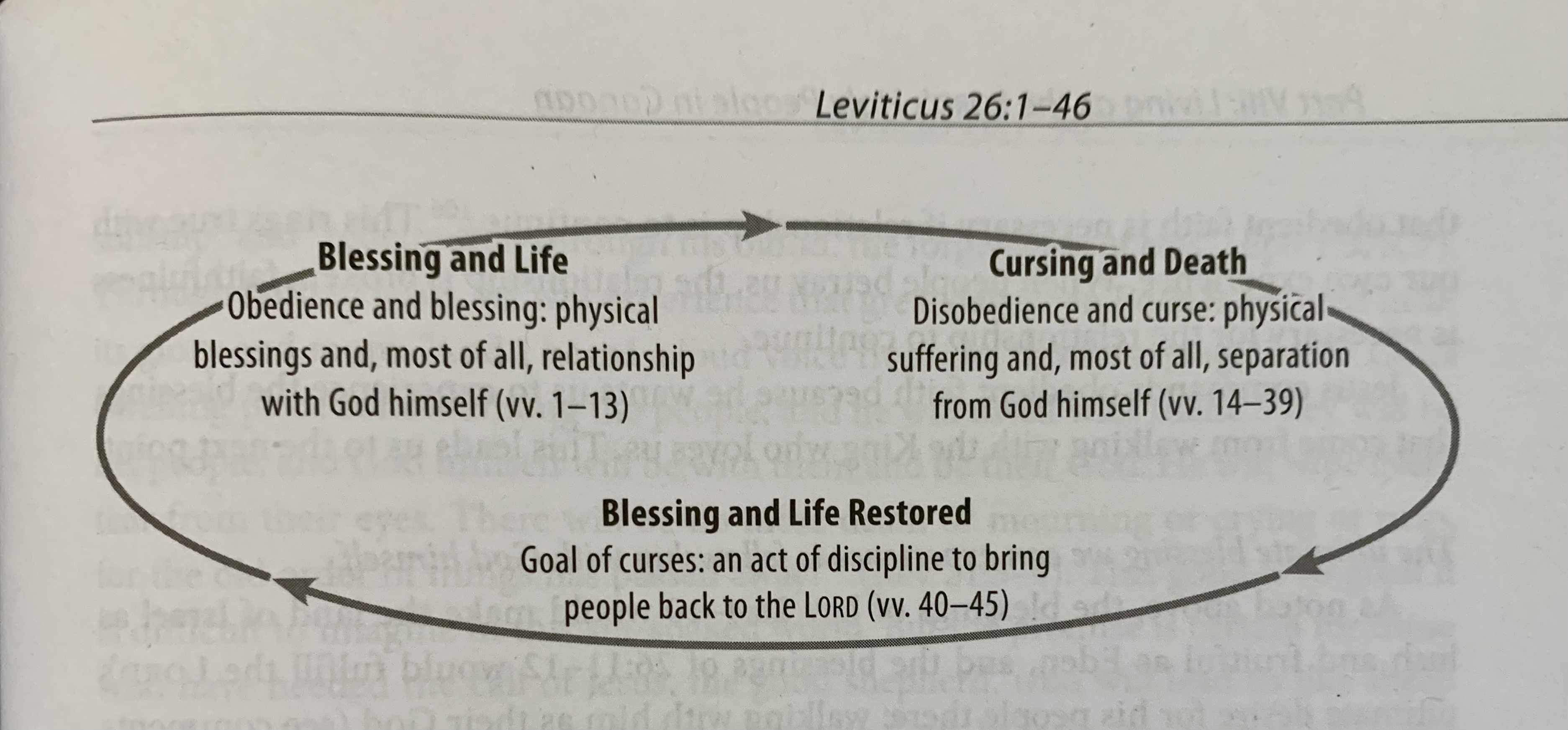 Book Review: Leviticus (ZECOT), Jay Sklar – spoiledmilks