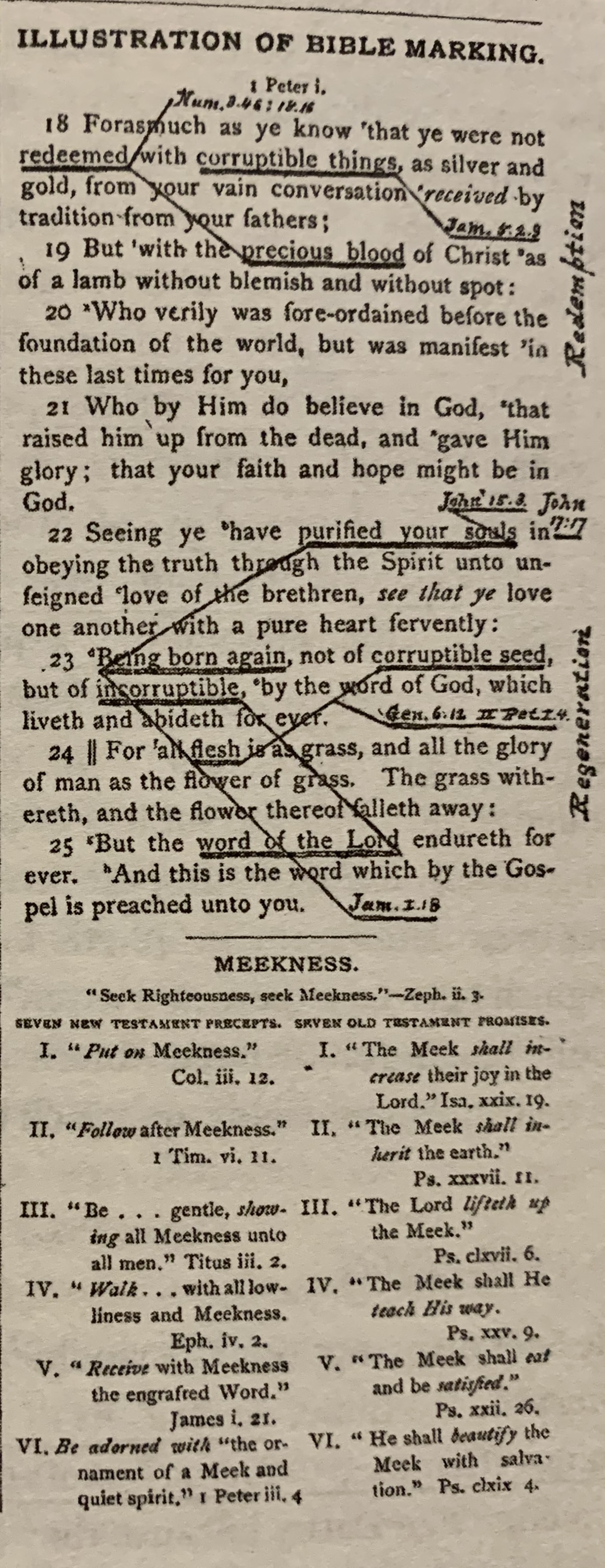 Book Review: The Rise and Fall of Dispensationalism (Daniel Hummel ...