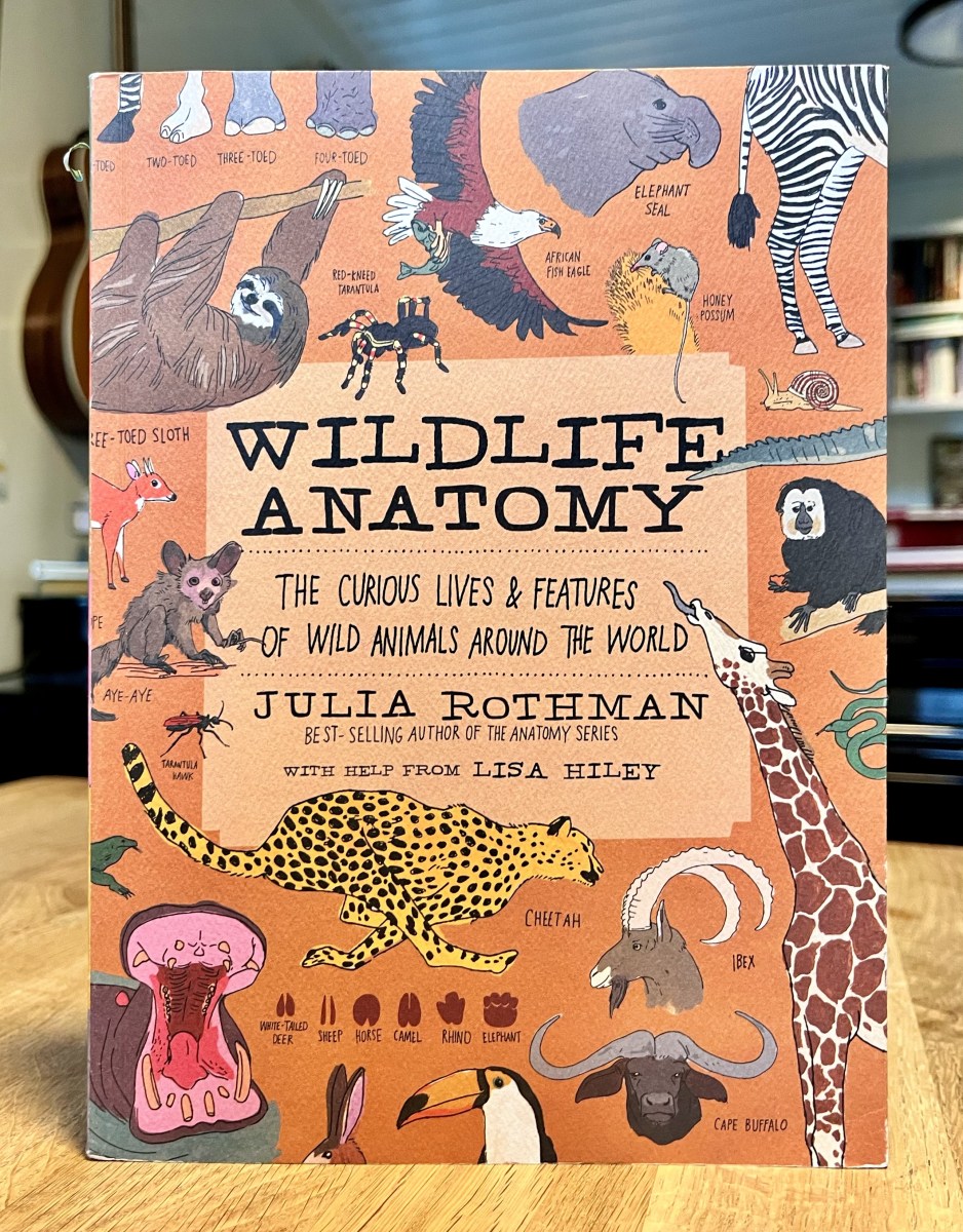 Wildlife Anatomy by Julia Rothman: A Homeschool Animal Science Book ...